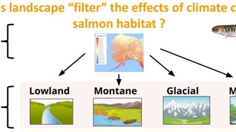 New Journal Article by KWF Staff: Climate Change and Juvenile Salmon in ...